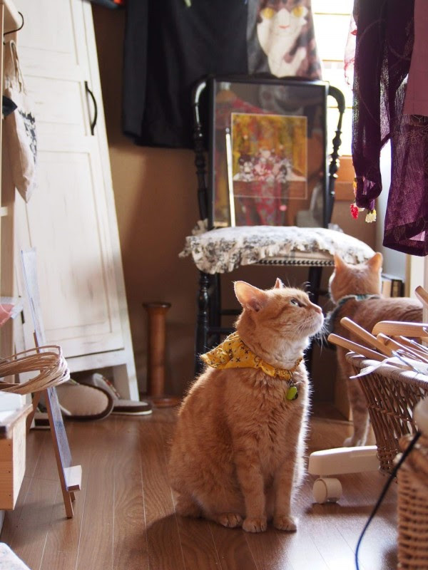 思い込みブレーキ。 | 馬場文化堂